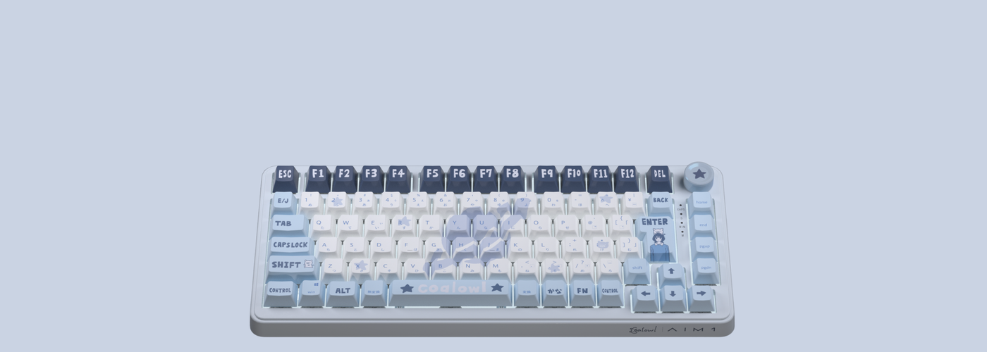 AIM1 | 公式サイト